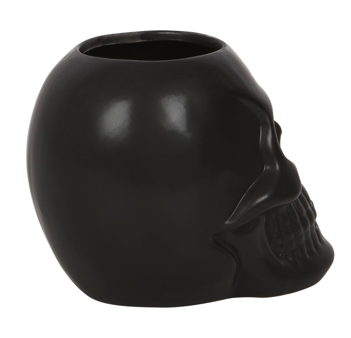 Black Skull Toothbrush Holder – The Vintage Carousel